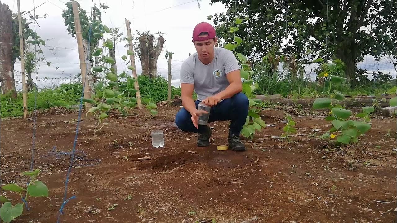 Determinación de limo, arcilla y arena en una muestra de suelo. - YouTube