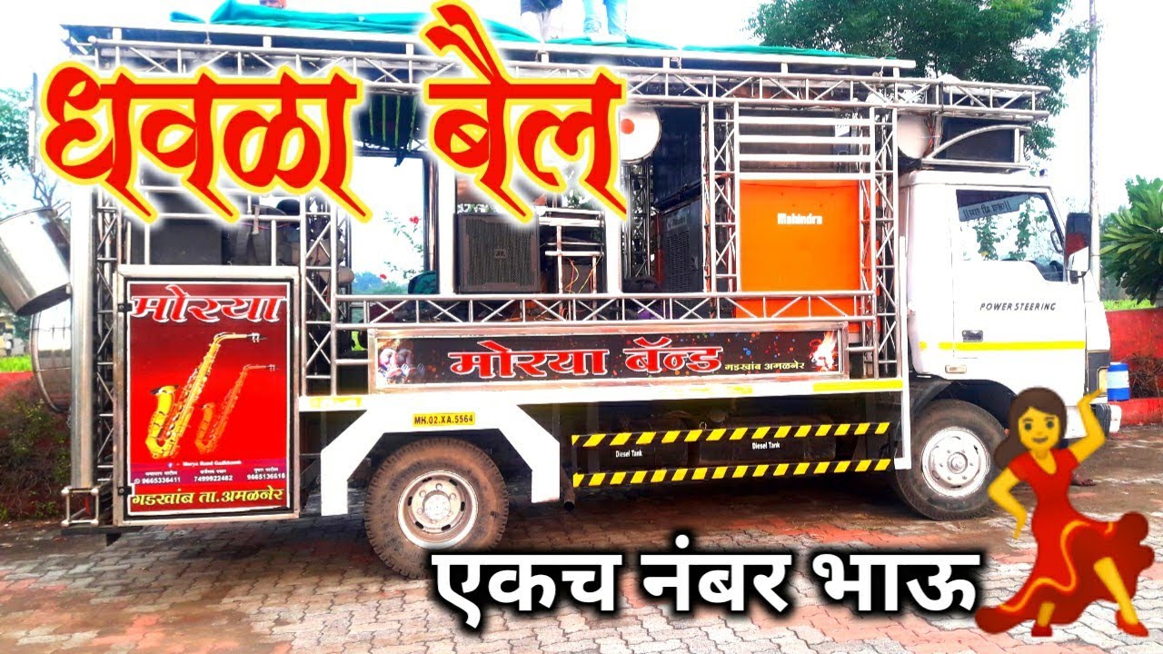 मोरया बँड गडखांब🥁 | Dhavala Bail🐃 | New gadi - YouTube