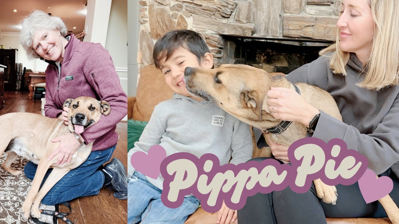 Pippa loves kids, toys and kissing! - YouTube
