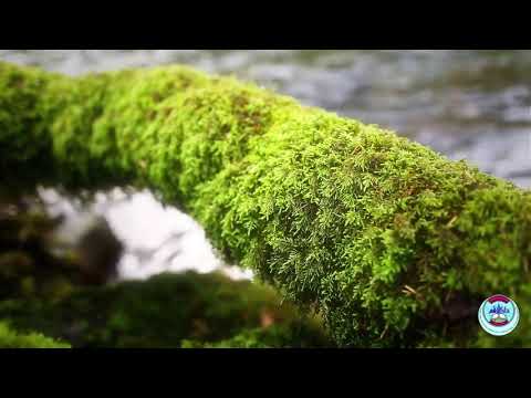 Doğru Söz Söylemek Konulu Sohbet-  Muhammed Dündar Hocaefendi