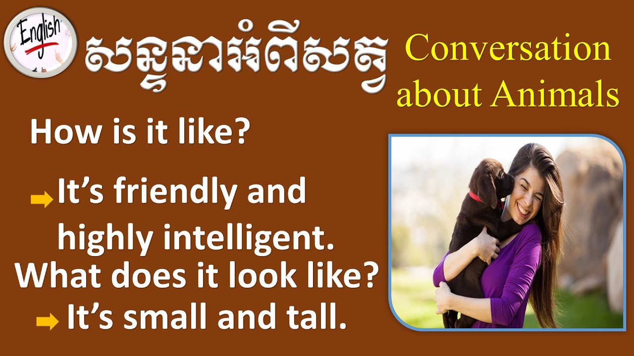 តោះរៀនប្រយោគខ្លះៗតាមរយៈការជជែកគ្នាអំពីសត្វ | Learn Some Words with ...