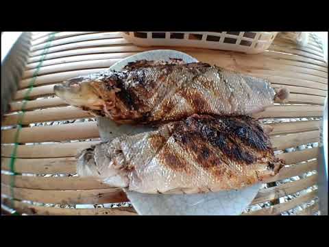 Summer Travel goals Swimming at Ubbog Alsem Vintar Crystal Clear Water ...