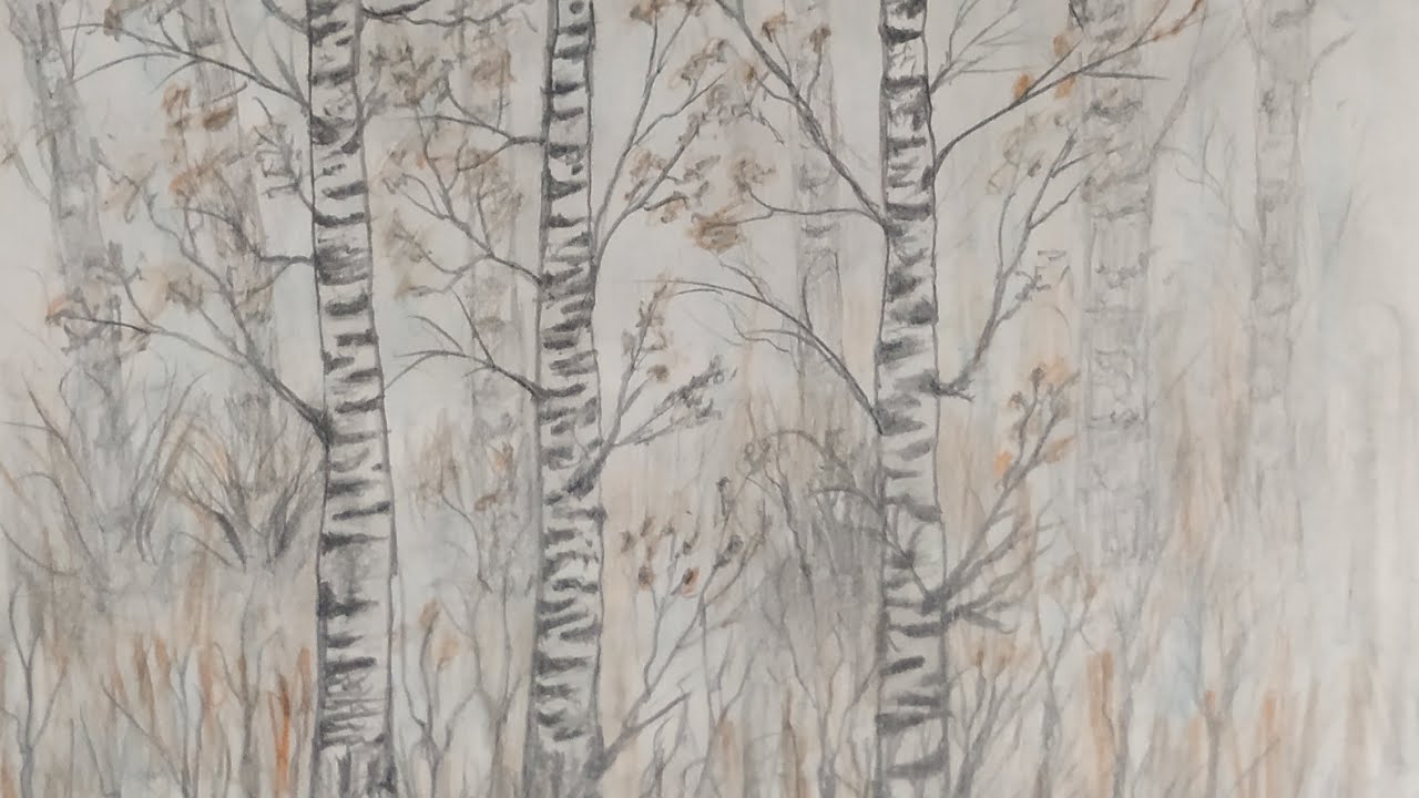 Scenery drawing with pencil |How to draw birch tree with pencil - YouTube