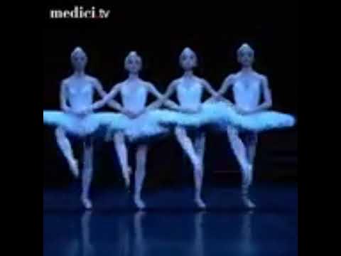 💖 Swan Lake Pas de Quatre 💖 - YouTube