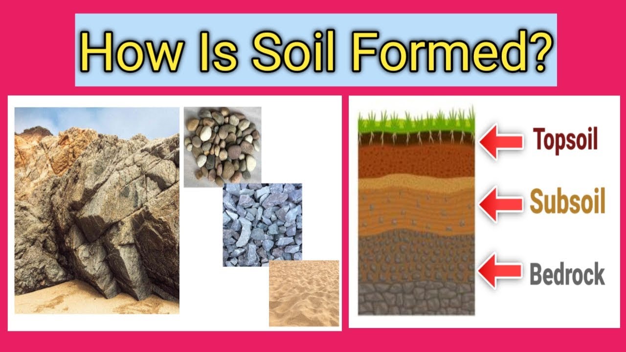 How Is Soil Formed?/layers of the soil - YouTube