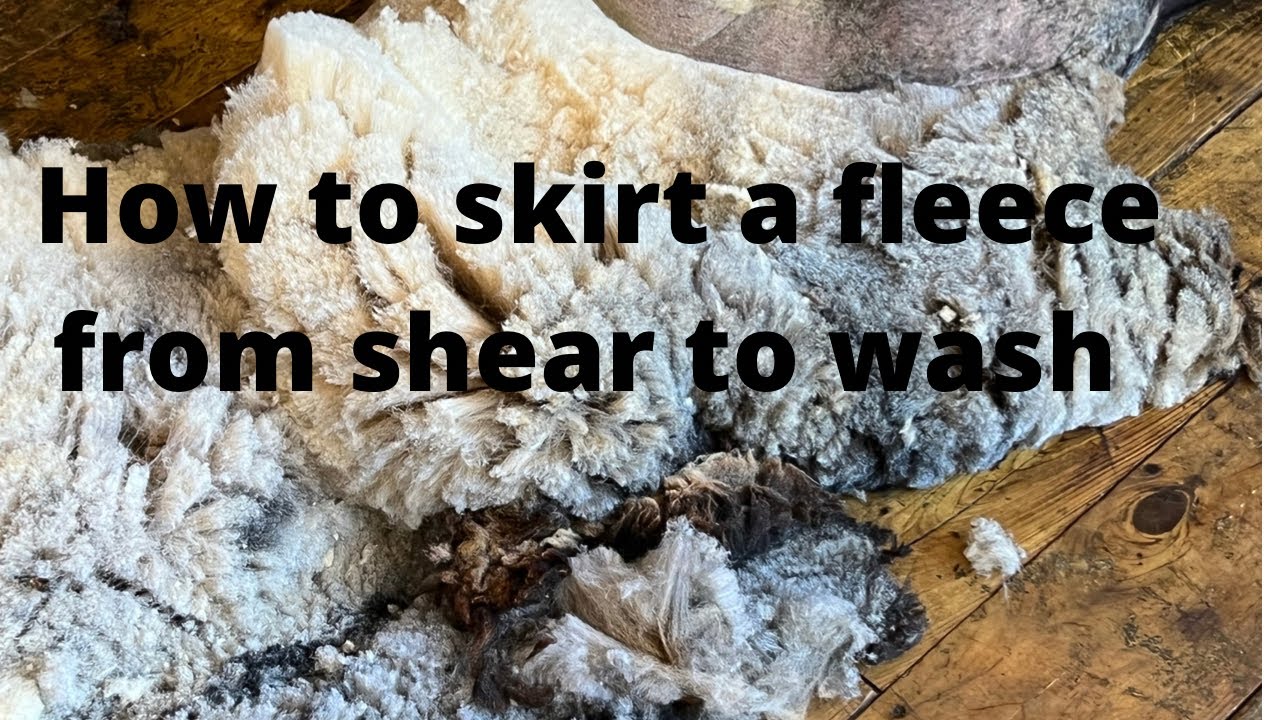 How to skirt a fleece from start to ready to wash @mattimakes - YouTube
