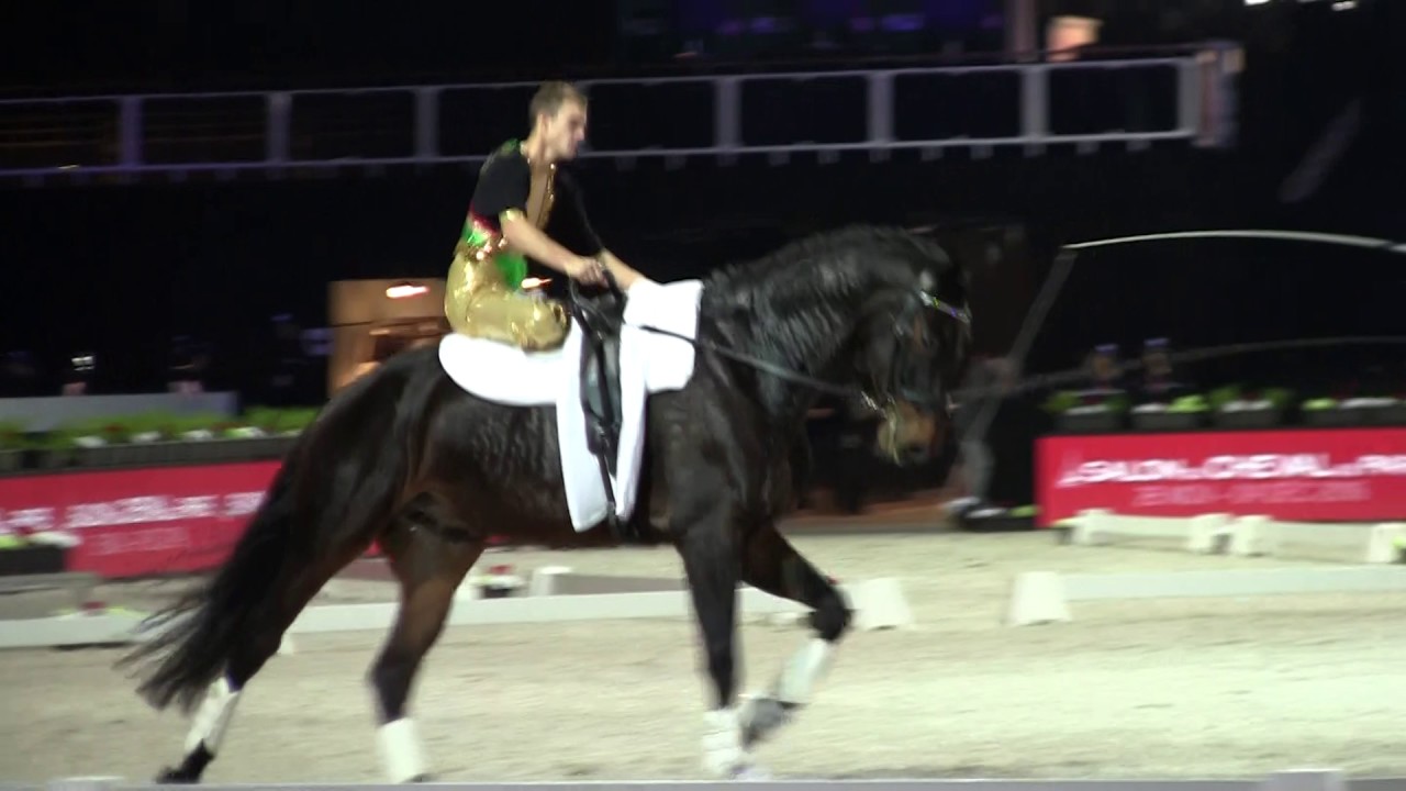 Compétition de voltige à cheval solo homme. - YouTube