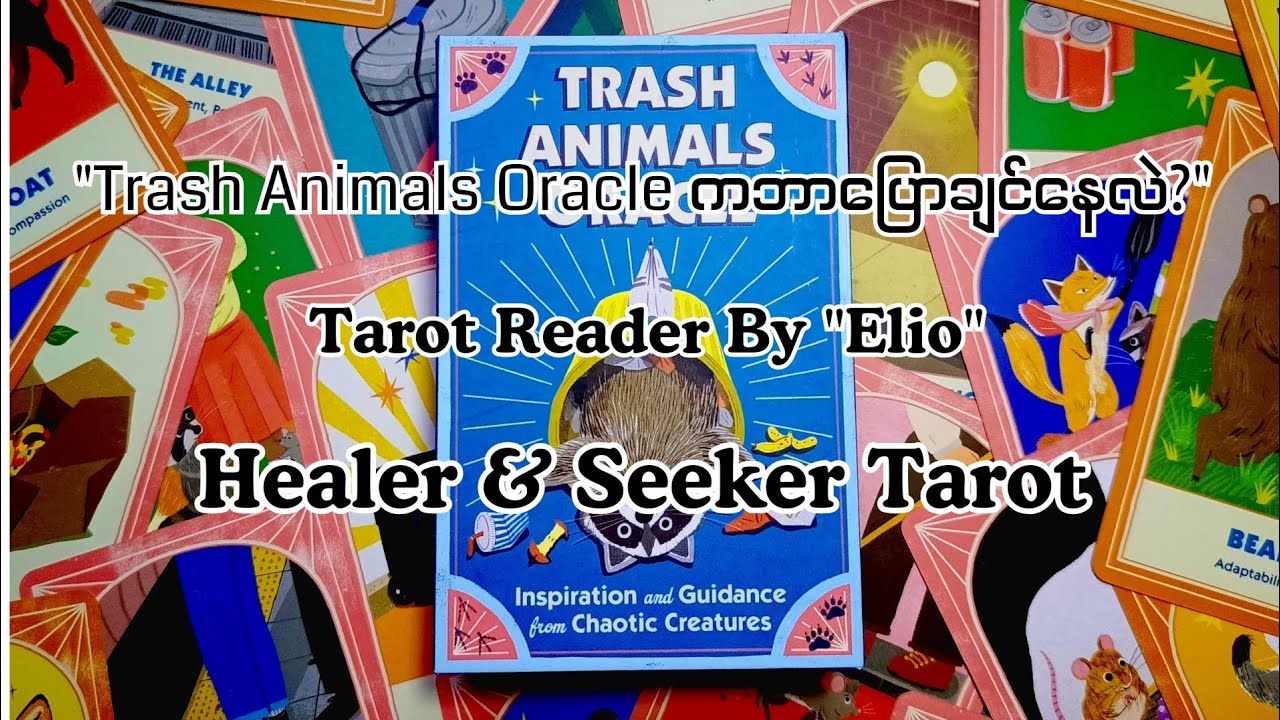 "Trash Animals Oracle ကဘာပြောချင်နေလဲ?" - YouTube