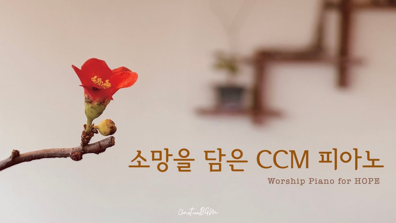 소망을 담은 𝐂𝐂𝐌 피아노 연주 모음 𝐖𝐨𝐫𝐤 𝐏𝐫𝐚𝐲𝐞𝐫 𝐒𝐭𝐮𝐝𝐲 𝐑𝐞𝐬𝐭 Youtube