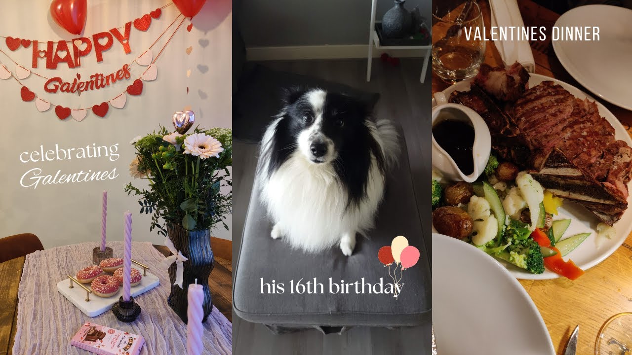 A week filled with love ️ celebrating galentines, my dog's 16th and ...