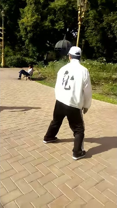 Tai Chi Chuan estilo Chen - Forma Lao Jia Yi Lu - YouTube