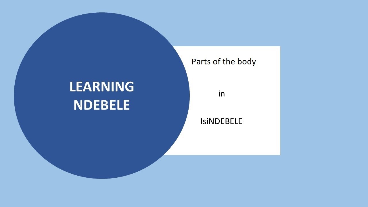 Parts of the body in isiNdebele | Izitho zomzimba | Zimbabwe Ndebele ...