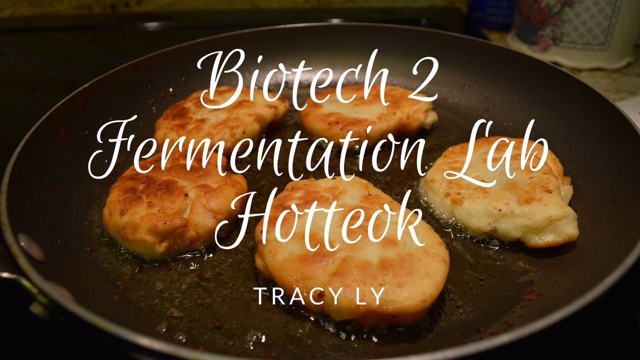 Biotech 2 | Fermentation Lab | Hotteok/Sweet Korean Pancake - YouTube