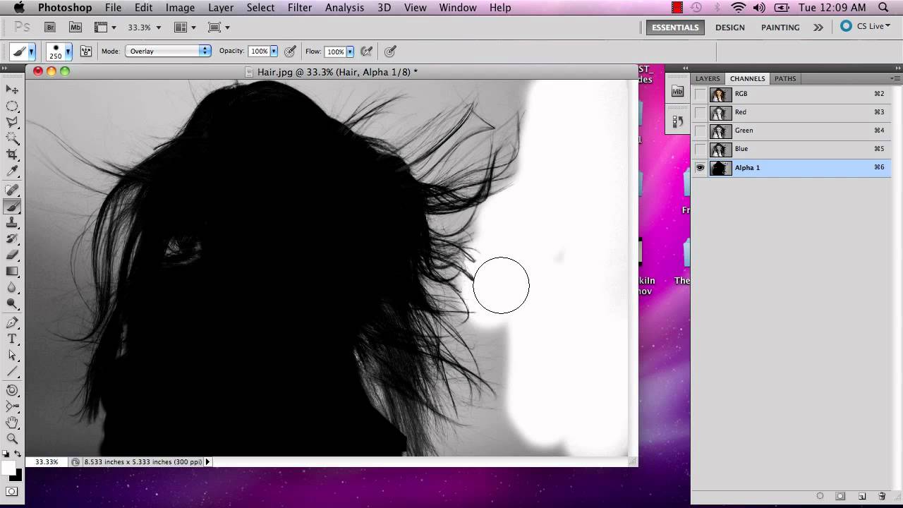 Photoshop: Advanced Hair Selection Techniques | Adobe Education Exchange