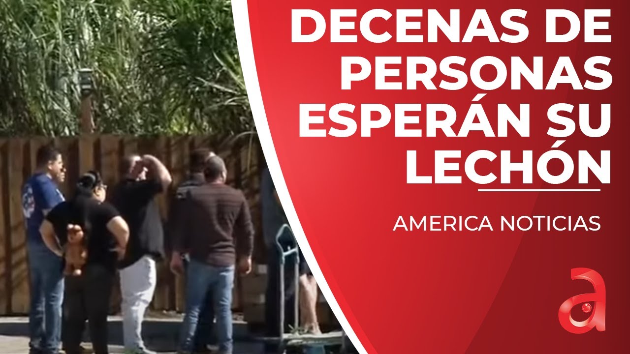 Largas filas en popular matadero Cabrera: decenas de personas llegan a ...