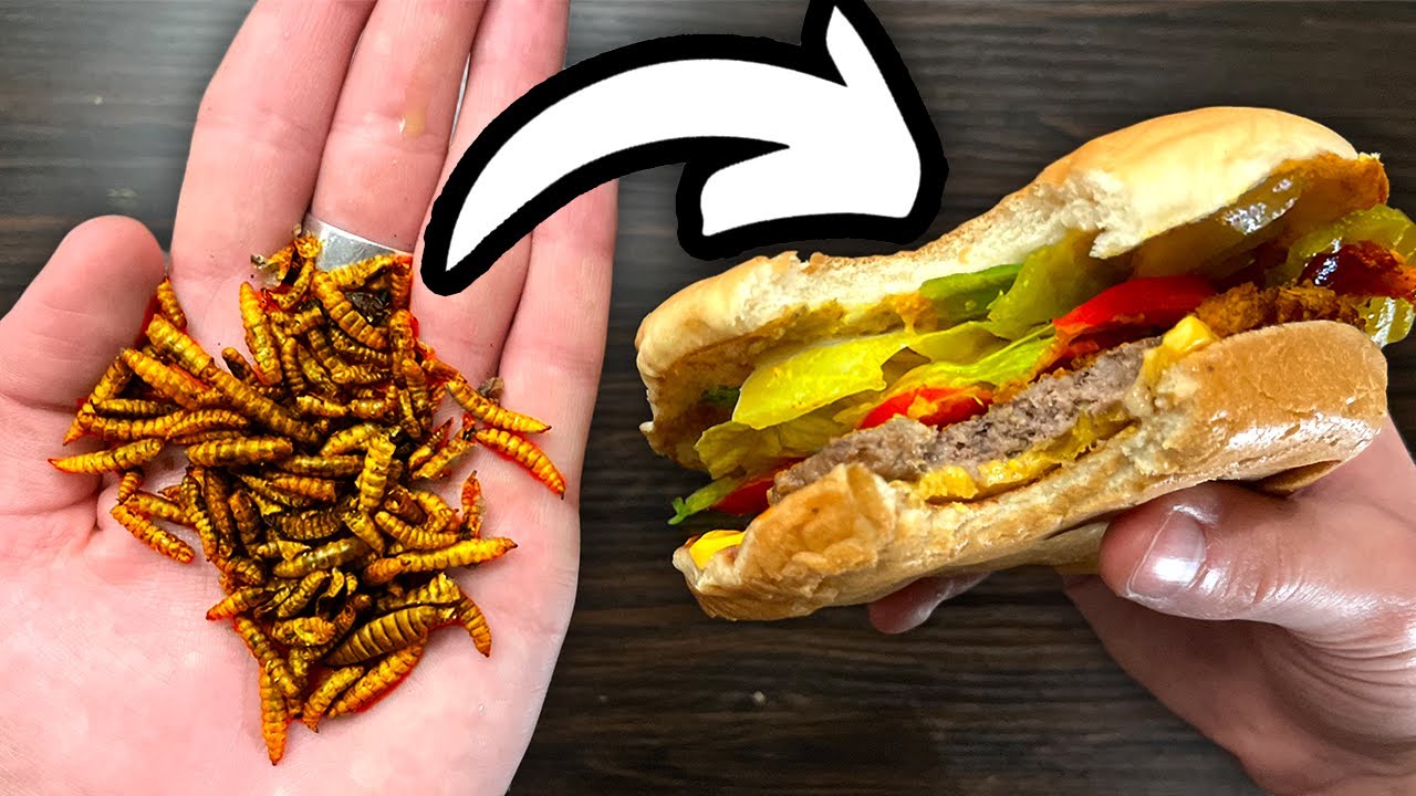 You Eat Insects Every Day! (Edible Insect Farm Tour) - YouTube