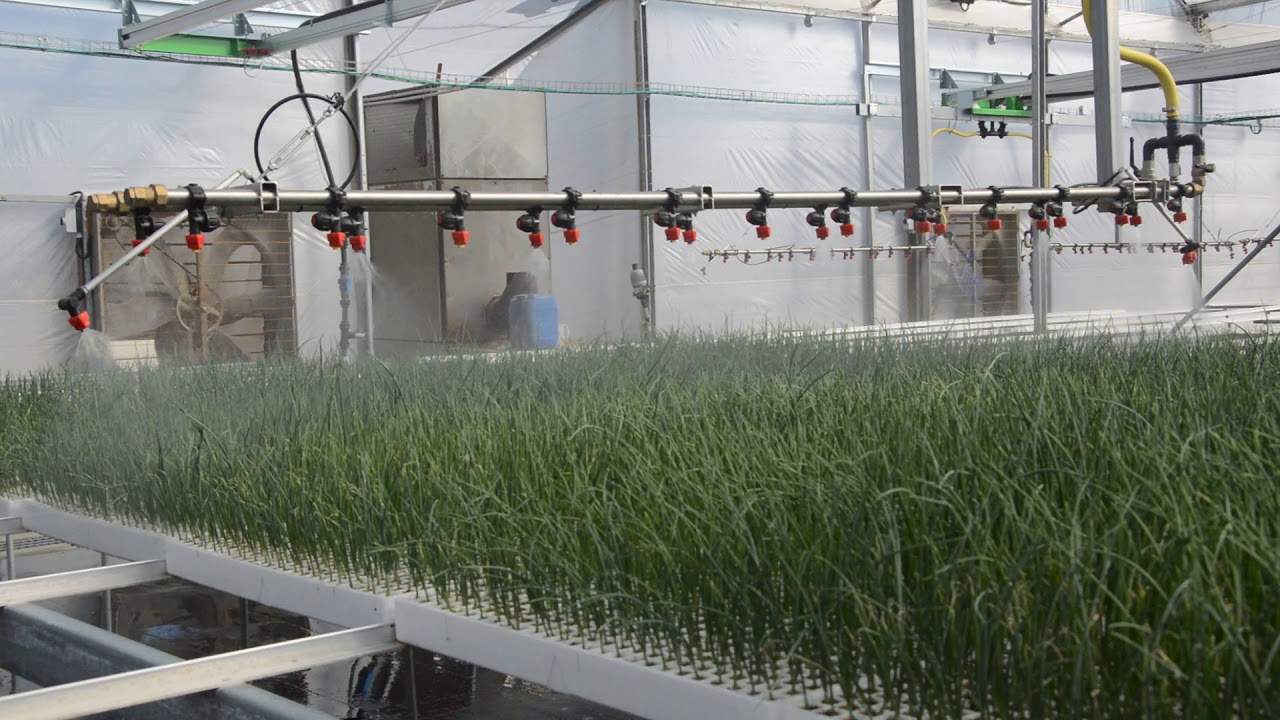 Da Ros - Watering boom - CI3 - YouTube