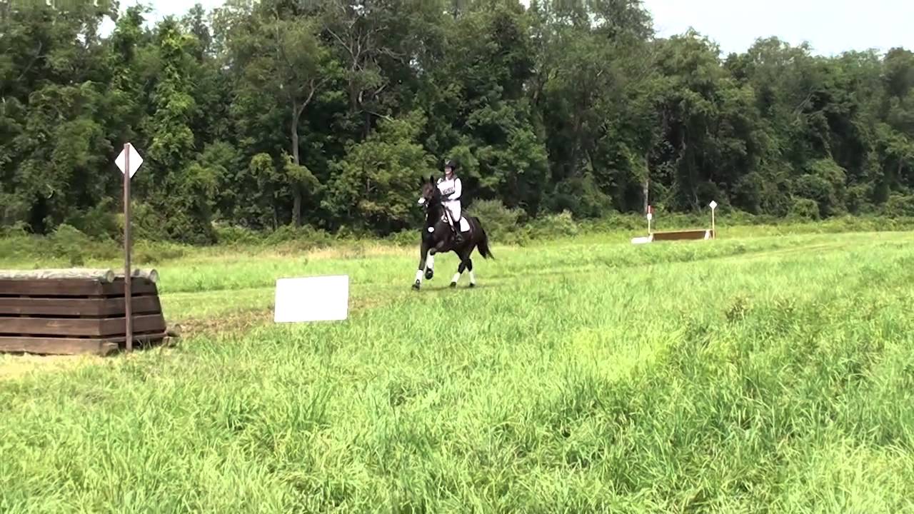 Morgan McCue & Shannondale 54 Millbrook Horse Trials August 2014 - YouTube