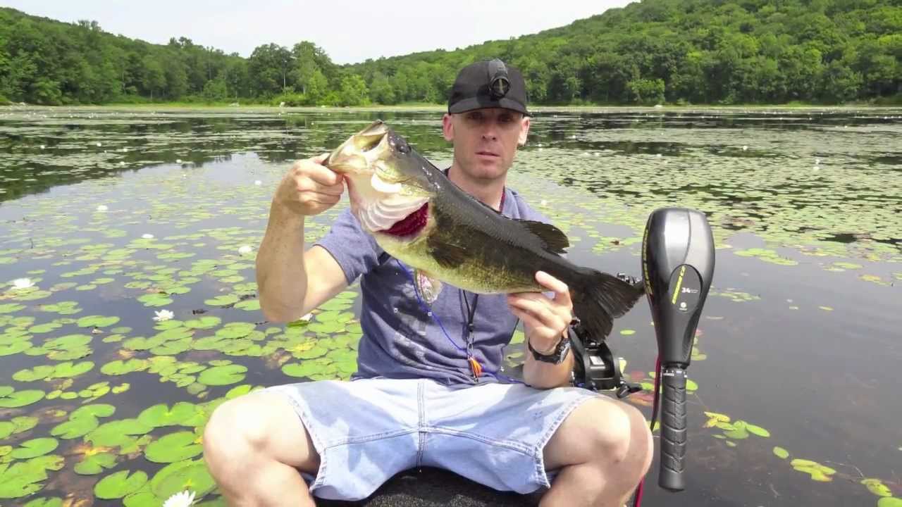 4lb 12oz NJ Bass - YouTube