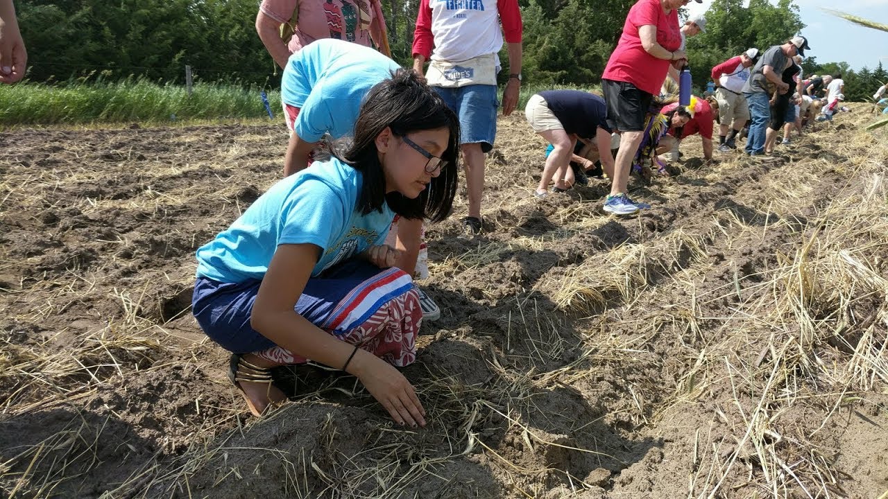 Ponca Plant Seeds of Resistance, Sacred Corn - YouTube