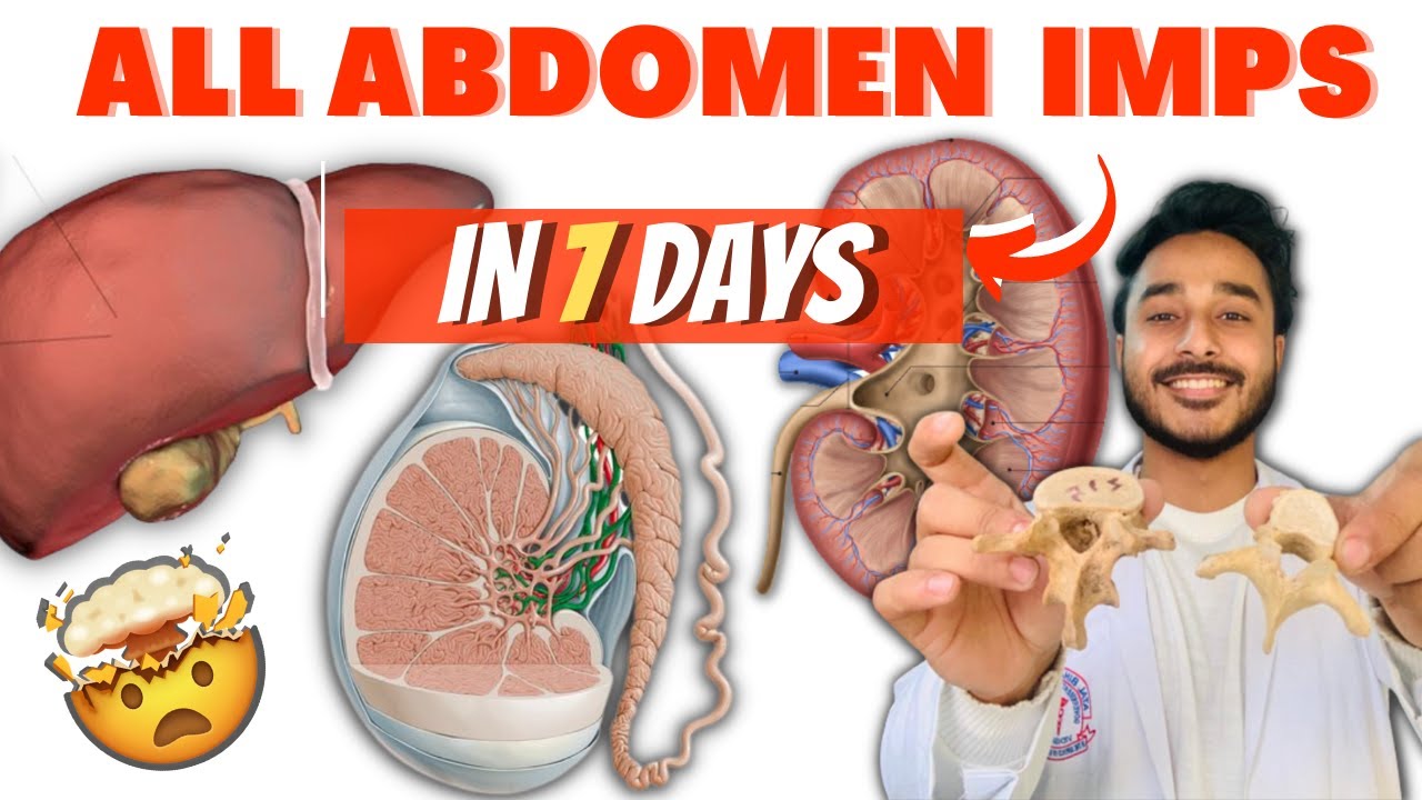 Abdomen Anatomy In 7 Days Important Topic Of Abdomen Anatomy abdomen-anatomy-in-7-days-important-topic-of-abdomen-anatomy