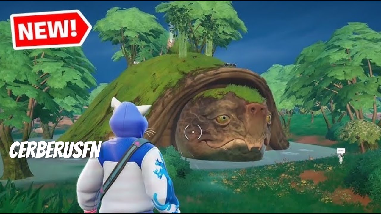 *NEW* Moving Turtle POI | Fortnite Chapter 6 - YouTube