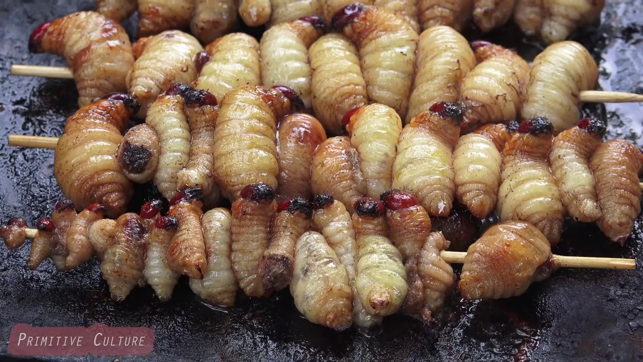 Tecnologia das Cavernas: Cozinhando bicho do coco na pedra ...