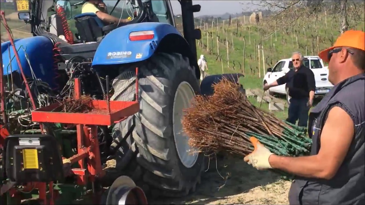 Plantation of a new vineyard with GPS vine stock transplanter - YouTube