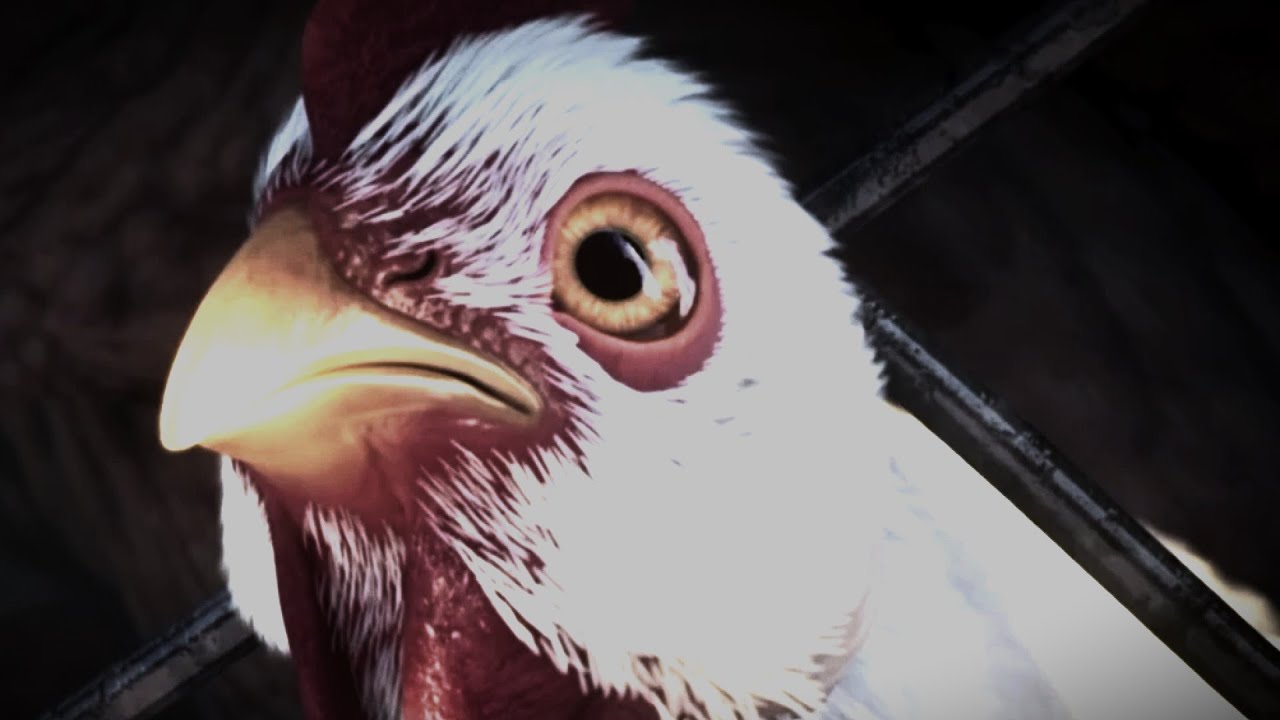 Why are Counter-Strike chickens stupid? - YouTube