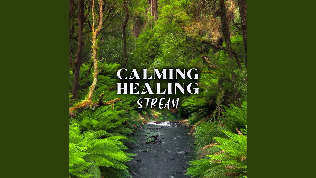 Soften Heart with Compassion - YouTube Music