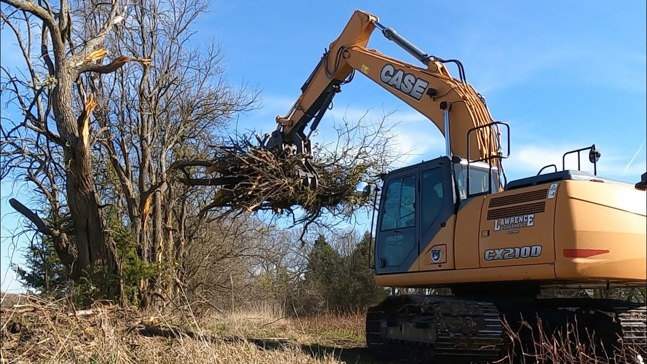Hedge Row Removal - YouTube