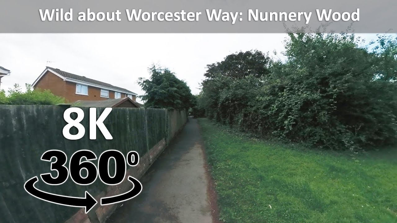 Wild about Worcester Way in 8K 360° VR: Nunnery Wood - YouTube