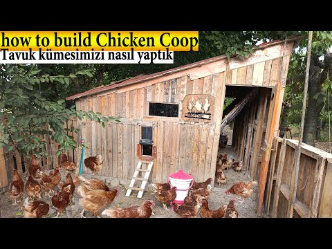 Bungalov Tavuk Kümes Yapımı | 150 Tavuk Kapasiteli Modern Kümes Yaptık!