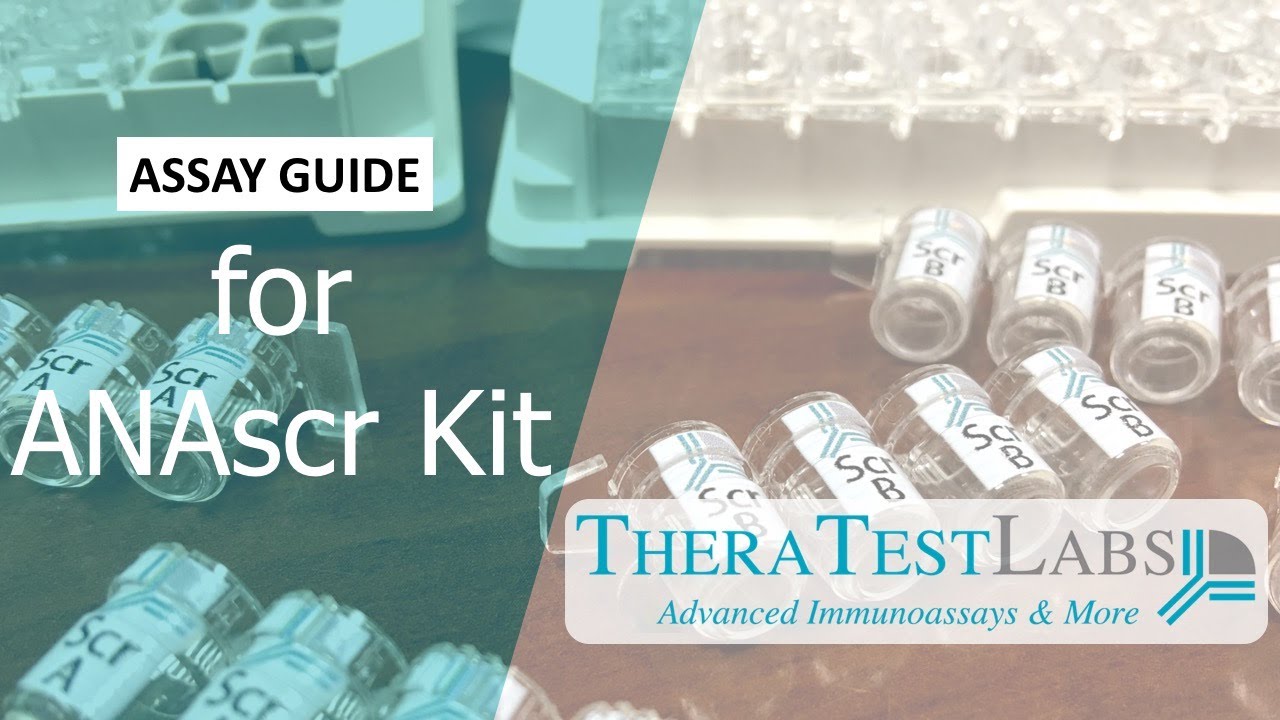 ANAscr Assay Guide - YouTube