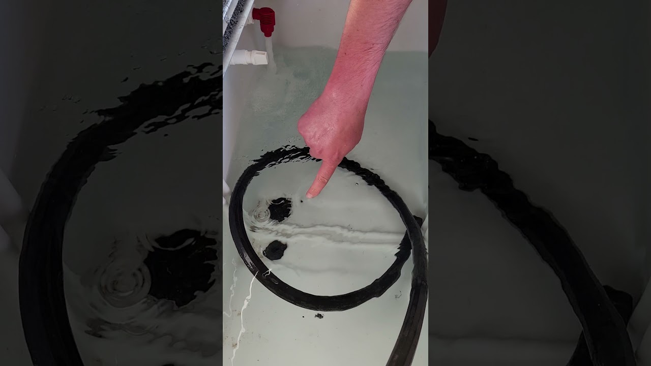 live well operation Lowe Stinger 178 - YouTube