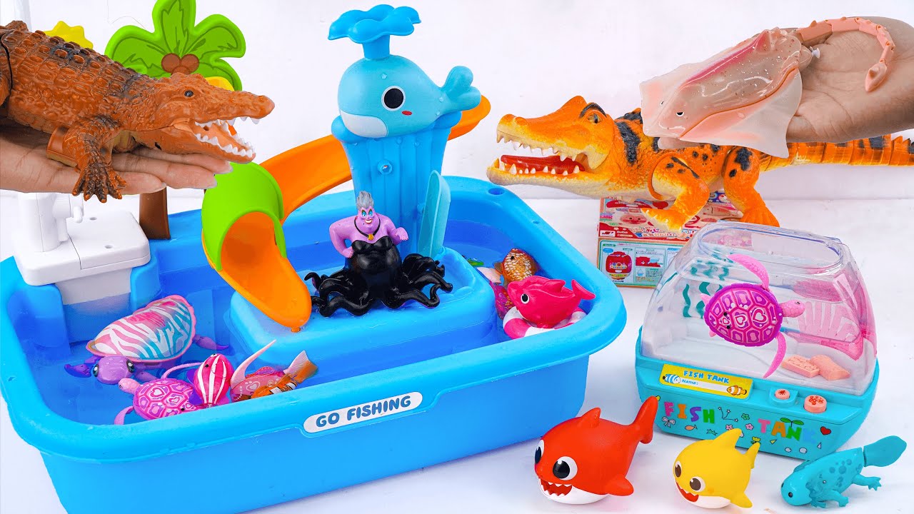 [Toy asmr]RC Crocodile & RC Stingray & Zuru Robo Fish &Harp's Aquarium ...