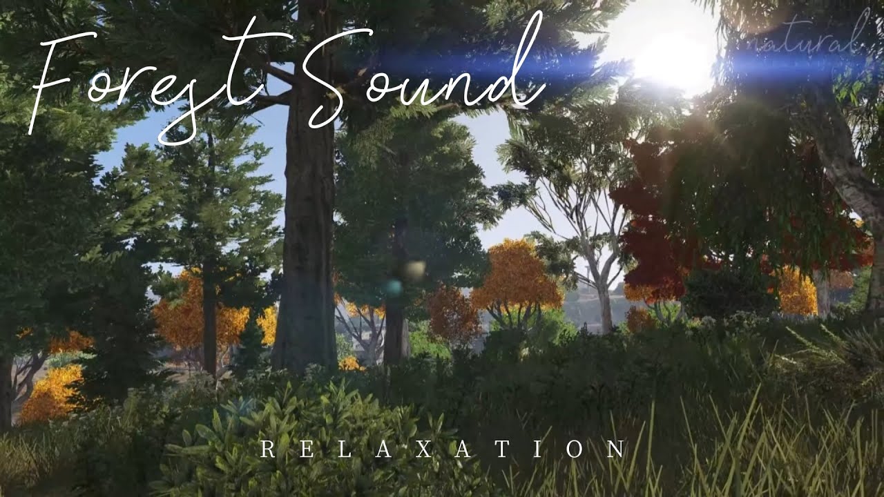 Early Morning Ambience Sound Effect | Copyright Free Nature Sounds ...