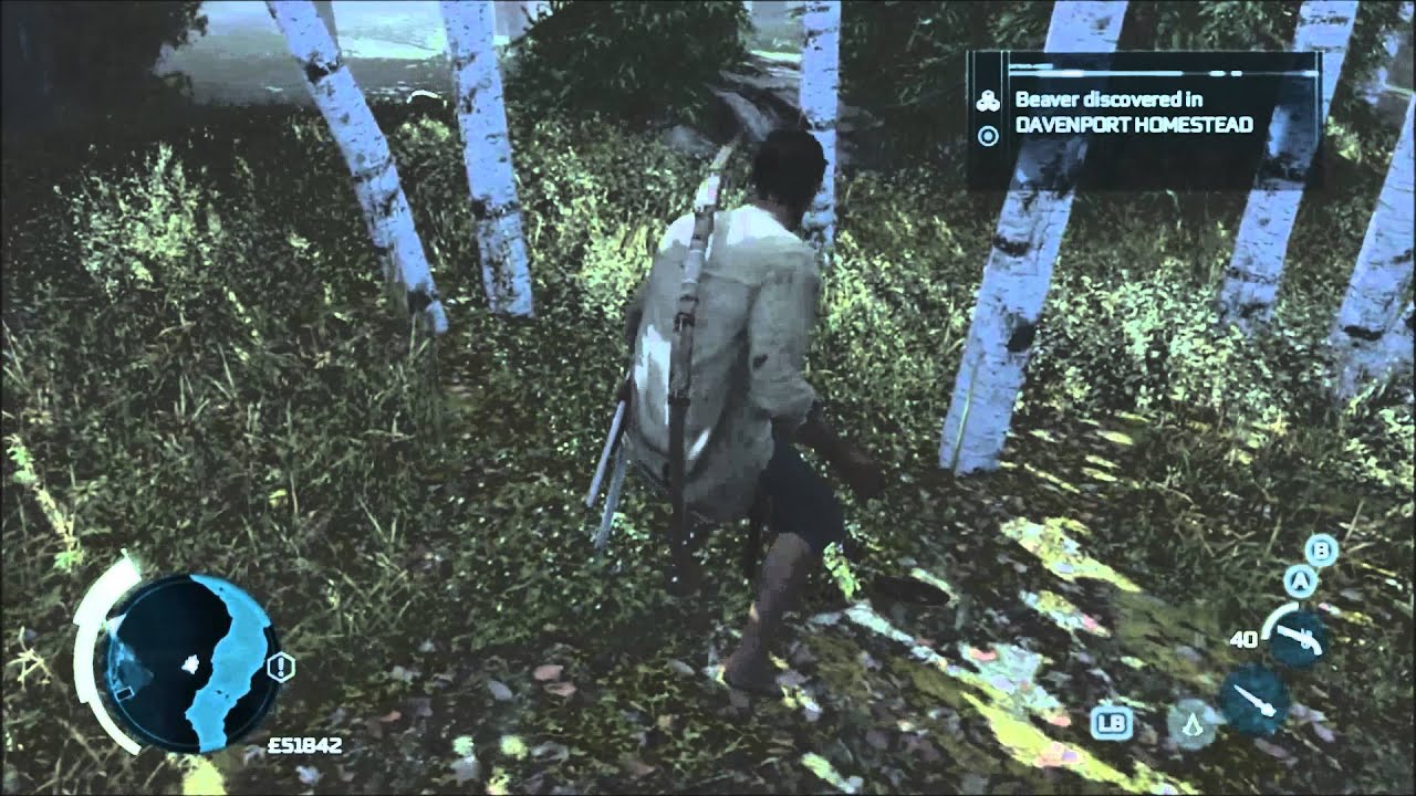 Hunting Guide Homestead - Deer, Raccoon, Fox, Beaver, Elk, Wolf, Hare ...