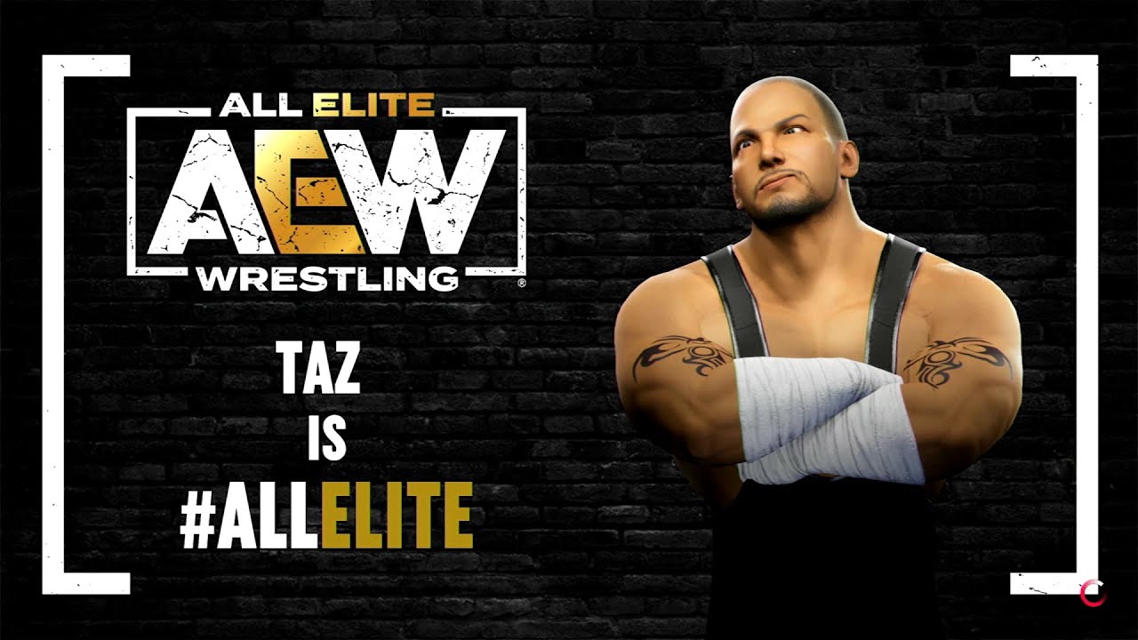 How to make Taz in AEW Fight Forever - YouTube
