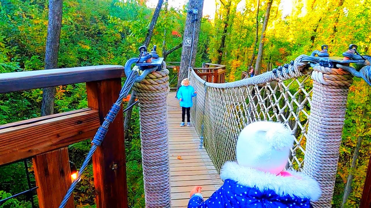 ANAKEESTA Longest Treetop Skywalk in North America in Gatlinburg ...