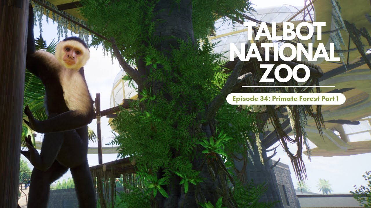 Primate Forest Part 1 | Talbot National Zoo | Planet Zoo | Episode 34 ...