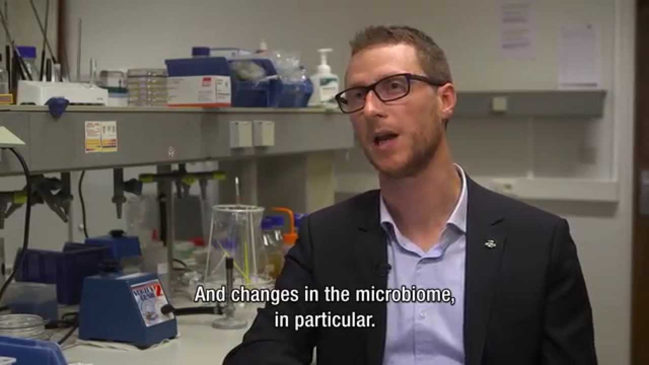 Dies Natalis 2015: honorary doctorate to Prof John LiPuma - YouTube