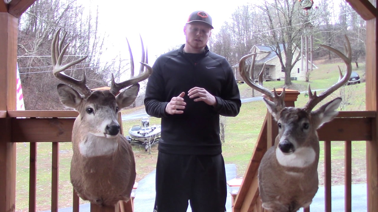 Deer Management Preview - YouTube