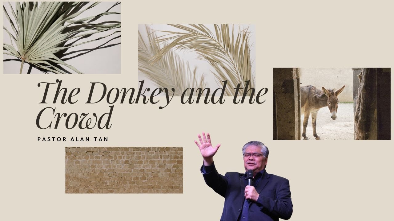 Harvest Online | March 24 | 10:30am | The Donkey and The Crowd | Pastor ...