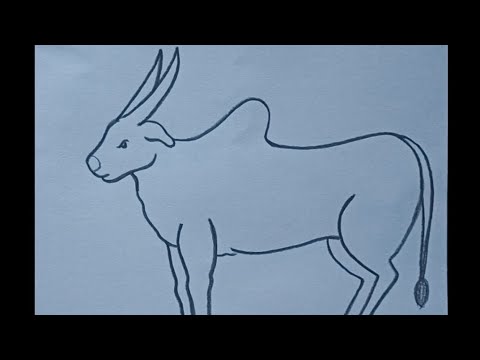 how to draw ox| easy ox drawing for beginners step by step - YouTube