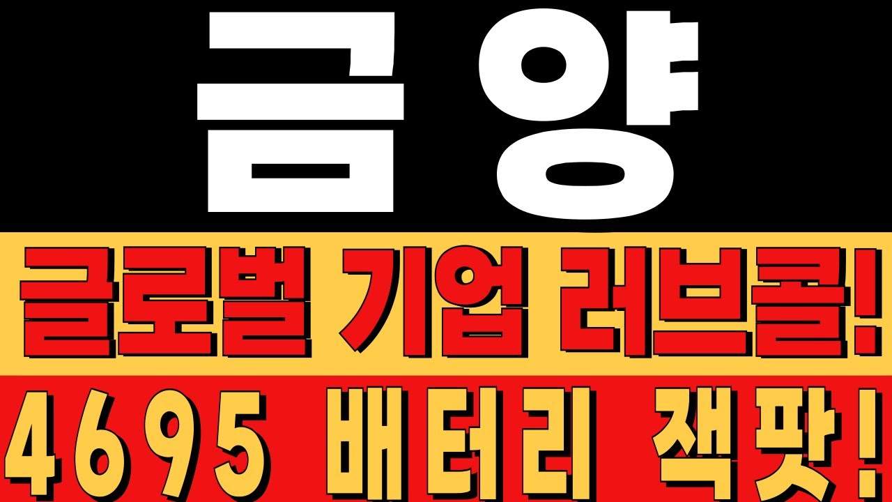 금양 4695배터리 잭팟 글로벌기업의 연이은 러브콜 오늘장 이렇게 봅니다 금양 금양주가 금양주가전망 금양주식 금양주식전망 금양목표가 금양분석 금양대응