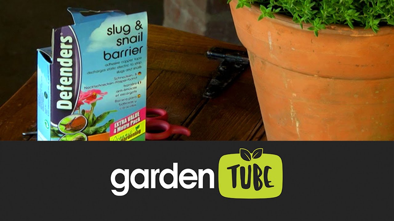 How To Keep Snails Away From Your Containers - YouTube