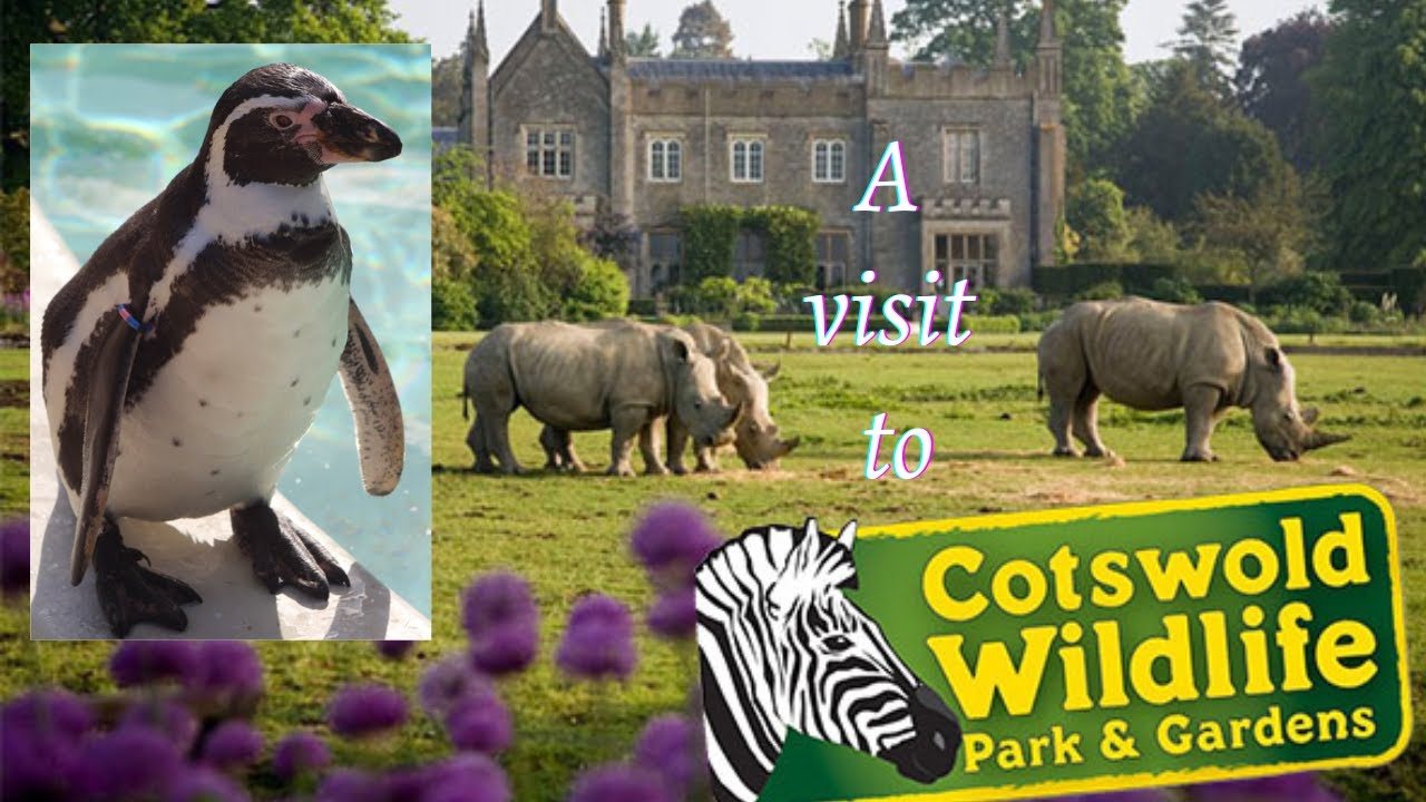 A visit to Cotswold Wildlife Park & Gardens - YouTube