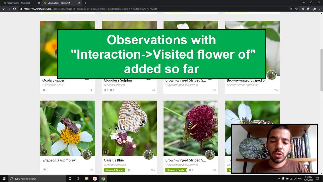 How to add observation fields on iNaturalist to document flower ...