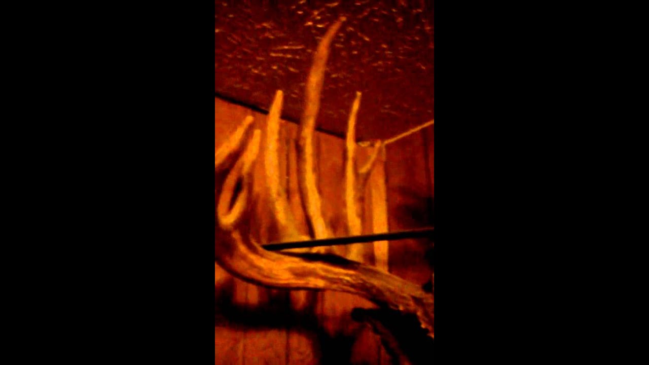 180 class big buck deer whitetail - YouTube